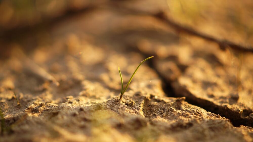 20 Biblical Reasons Why God Allows Trials in Life - Christian Soldier ...