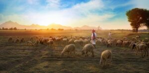 Psalm 23 Explained: God’s Comfort and Provision