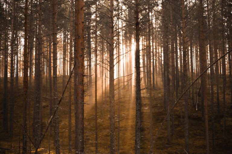 Exposing Evil: Bible Verses on Righteousness